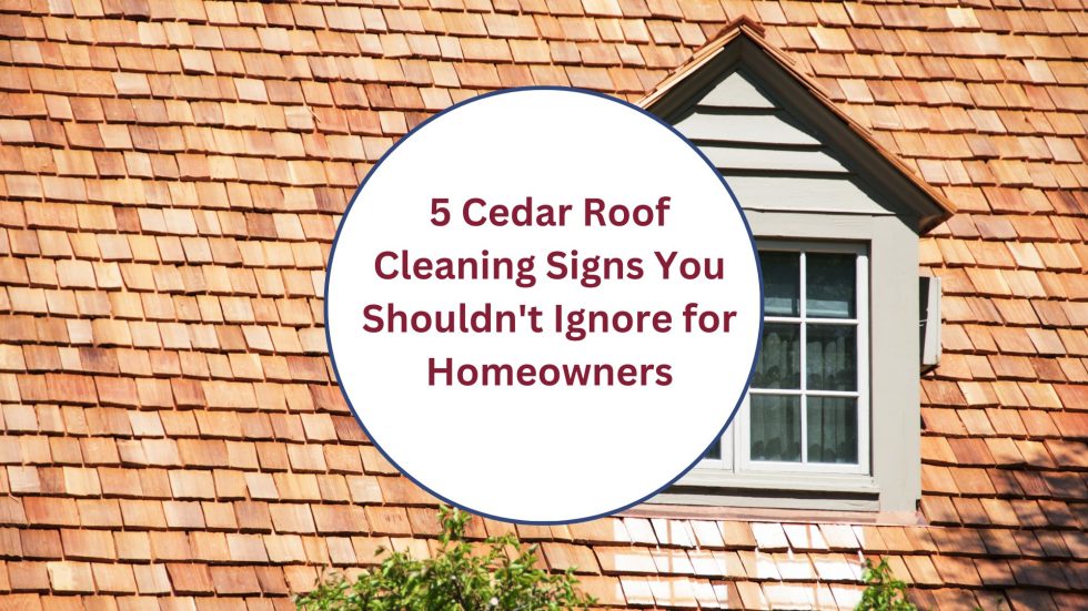 Cedar Roof Cleaning Signs You Shouldn't Ignore for Homeowners