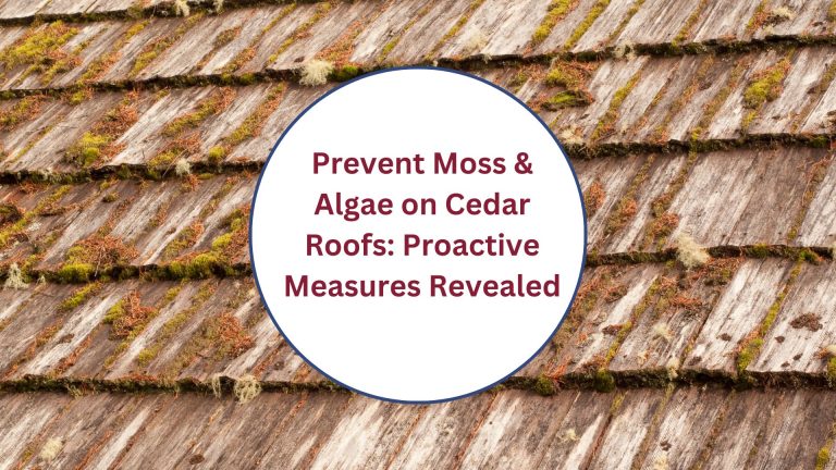 Prevent Moss & Algae on Cedar Roofs: Proactive Measures Revealed