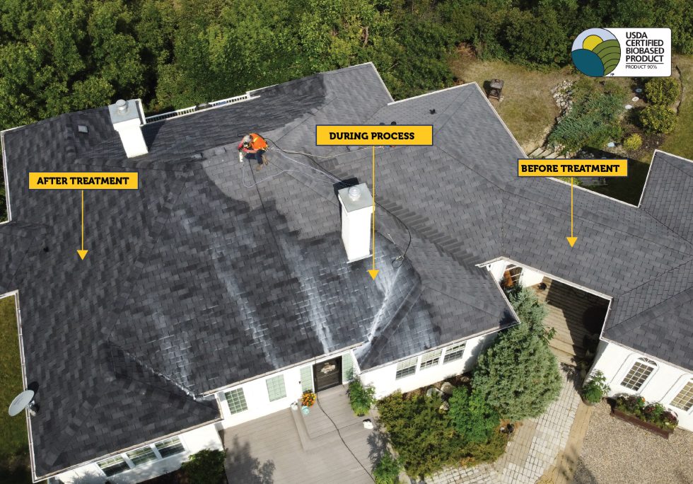 Roof Rejuvenation Service - Extend Your Roof's Lifespan